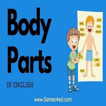 Body Parts First Grade Power Point Presentation | PPTX