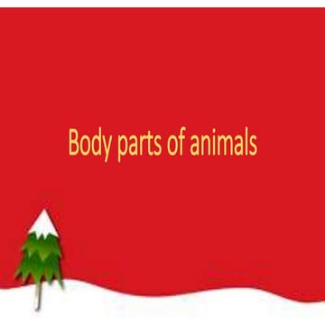 Body parts of animals | PPT