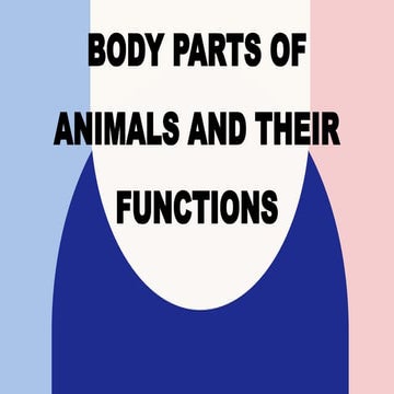 body parts of animals.pptx scielce lesson for grade 3 | PPTX