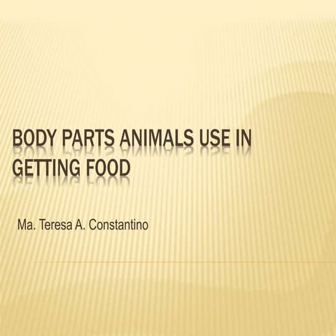 body parts of Animals for food getting.pptx