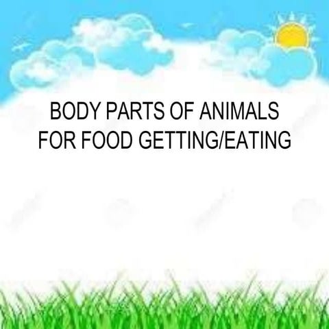 body parts of animals for getting food.pptx