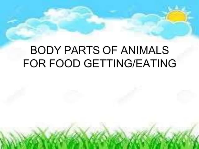Body Parts of Animals and their Functions.pptx