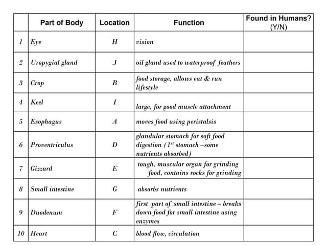 Quail farming | PPT