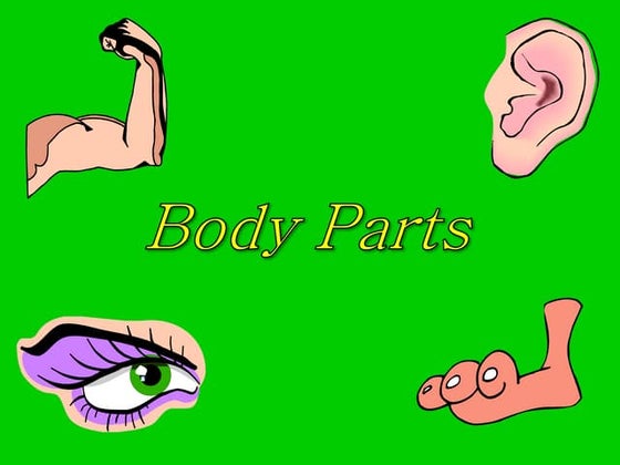THE BODY PARTS PPT | PPTX