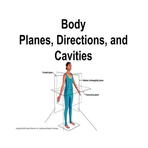 Body planesdirectionscavities | PPTX