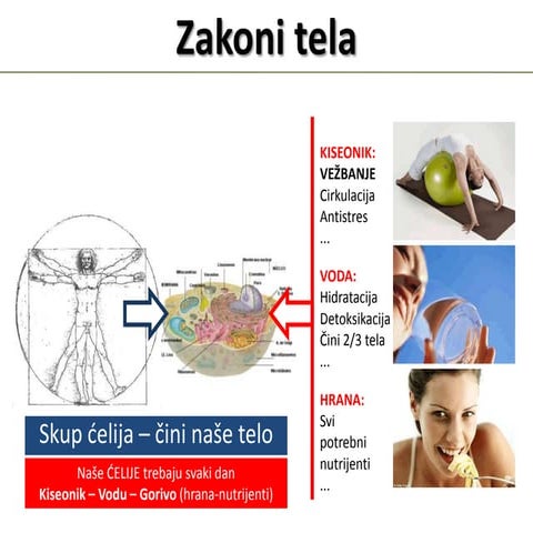 Piramida ishrane | PPT