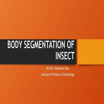 BODY SEGMENTATION OF INSECT.- HEADpptx.pptx