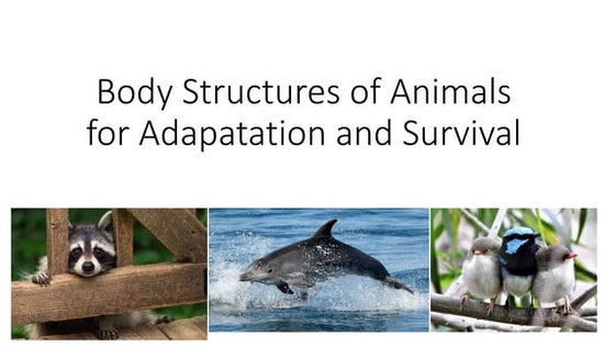 BODY STRUCTURES THAT HELP ANIMALS ADAPT AND SURVIVE .pptx