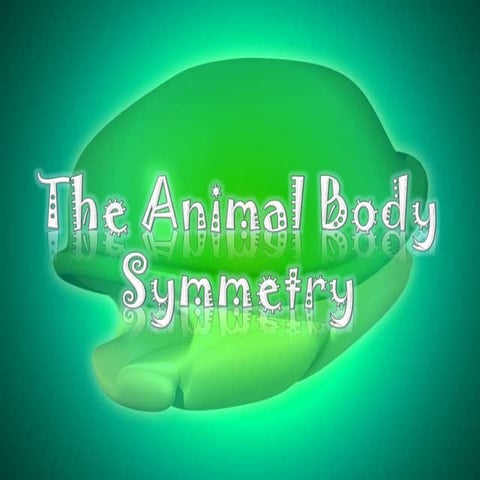 Body symmetry | PPTX
