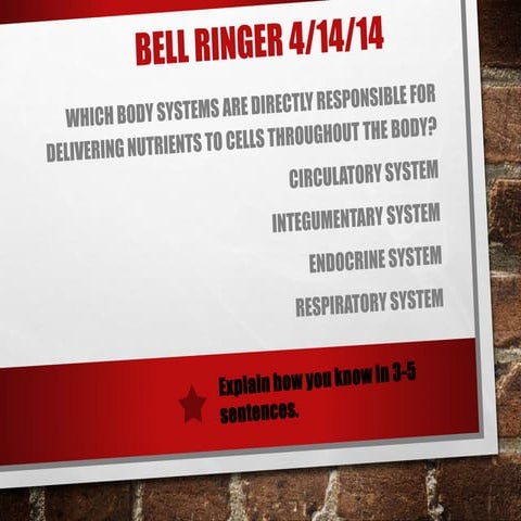 Body System Review | PPTX