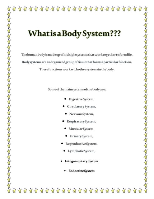 Rectangular Coordinate System | PPT | Geography | Science