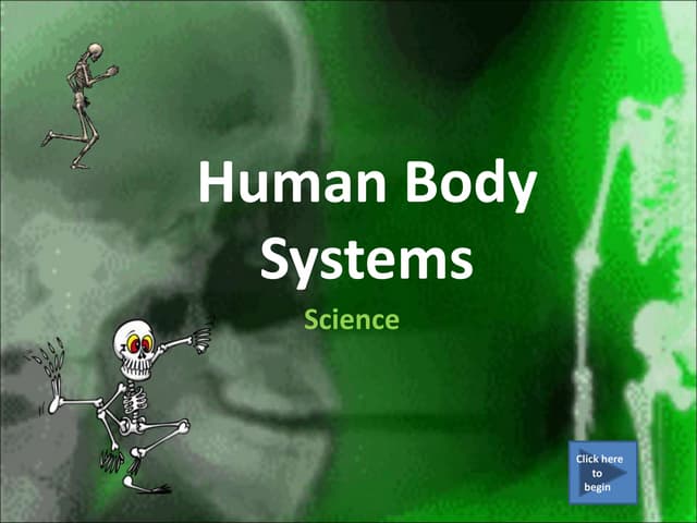 Cells to body systems (science) | PPT