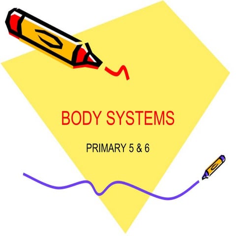 The human body (introduction - 5/6 grade curriculum). | PPTX