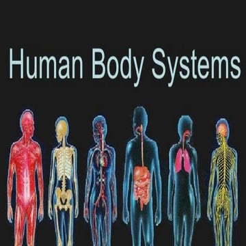 Body Systems .pptx
