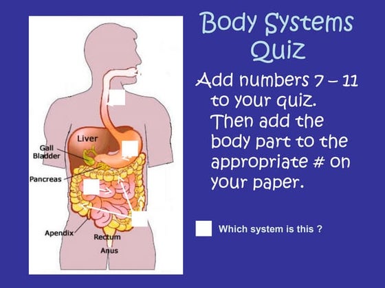 Human Body Systems PPT | PPT