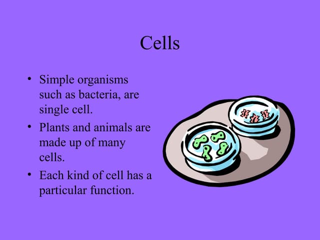 Cells to body systems (science) | PPT