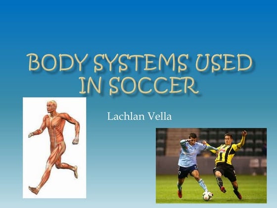 Muscular system chapter | PDF