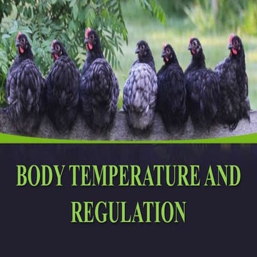 Animal Science Body Temperature and Regulation.pptx