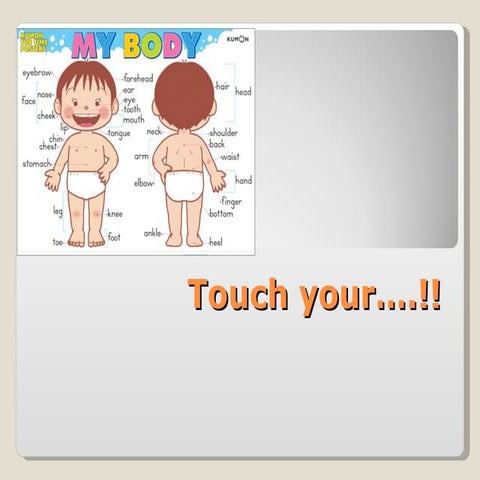Body vocabulary power point | PPT