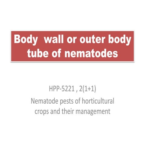 Inner body tube of nematodes | PPTX