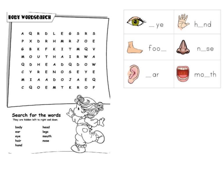 Body Wordsearch body-wordsearch