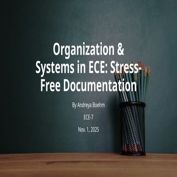 Organizations and Systems in an ECE Setting | PPTX