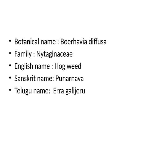 Boerhavia diffusa or Punarnava herbology | PPTX