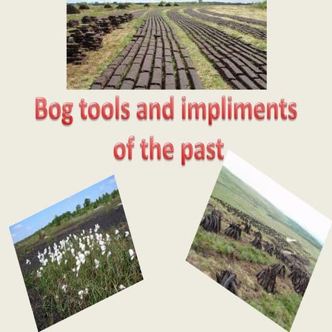 Bog power point | PPTX