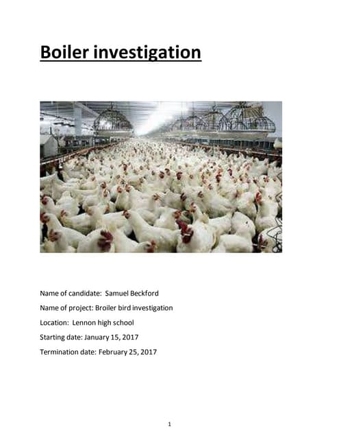 Broiler SBA.docx for agricultural science csec | DOCX