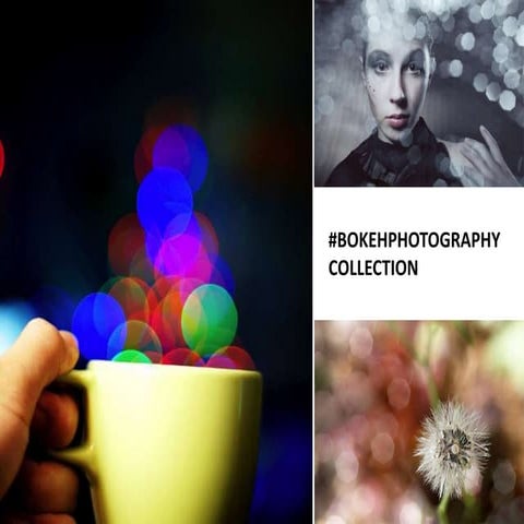 Bokeh collection | PPT