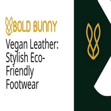 The Elegance of Double Monk Shoes | Bold Bunny | PPTX