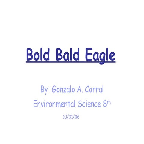Bold Eagle | PPT