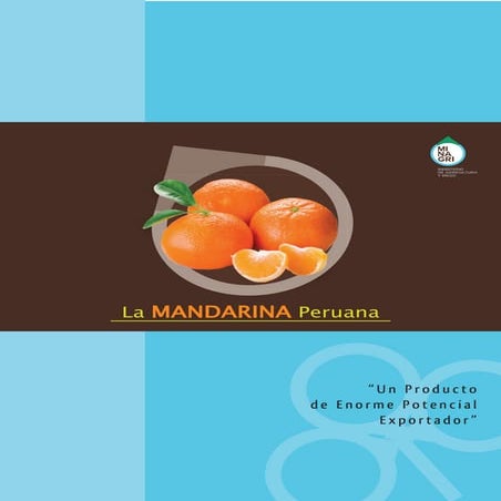 mandarin mandarina | PPTX