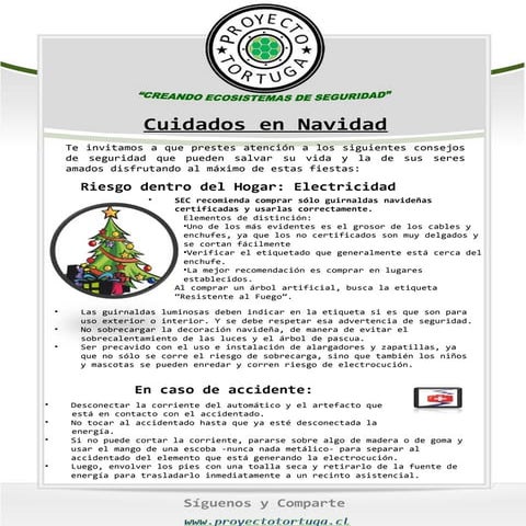 Riesgos en Navidad | PPT