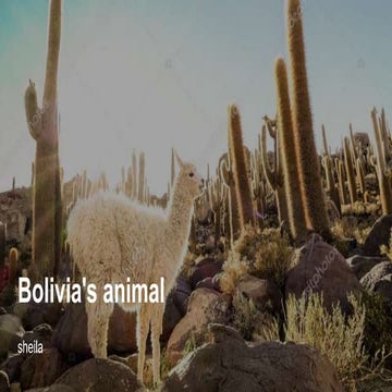 Bolivia animal | PPT