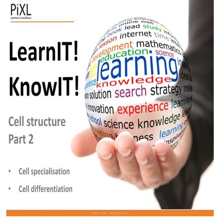 Biology_Cell_AQA_GCSE_PowerPoint_newPPTs | PDF