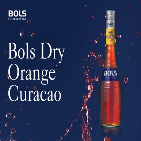 Использование Bols Dry Orange в баре | PDF | Bars & Restaurants ...
