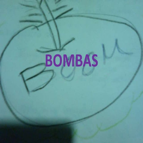 Bombas | PPTX