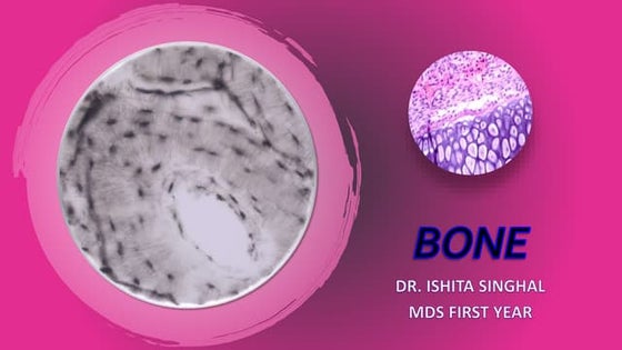 AI Histology Of Cartilage_compressed.pdf