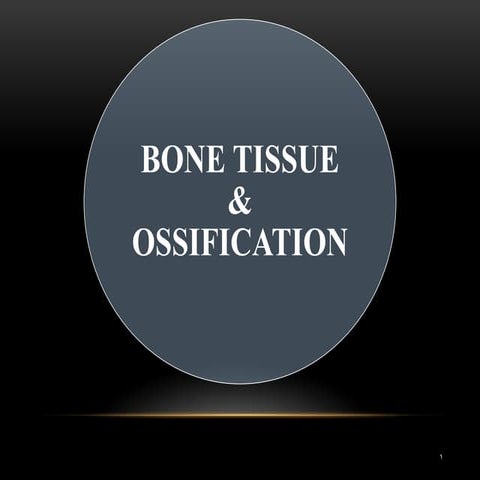 bone.pdf histology for first year medical students | PDF