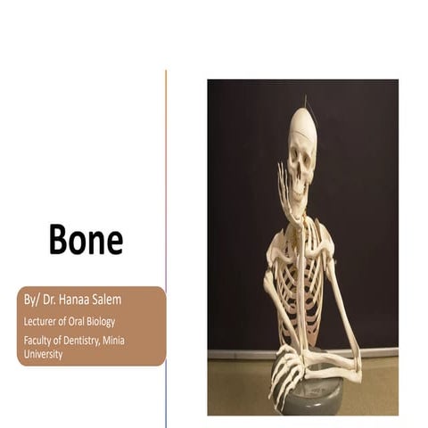 bone full chapter for "oral biology".pdf
