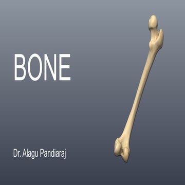 Histology bone anatomy general features.ppt