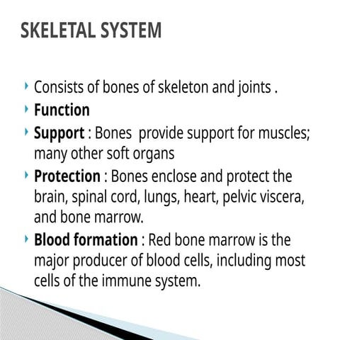 BONE.power point presentation anatomy and physiology | PPTX