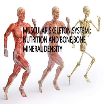 Bone and bone mineral density.pptx