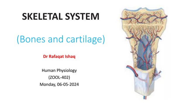 Histology Of Bone Pptx