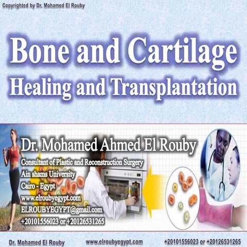 Bone and cartilage healing | PPTX