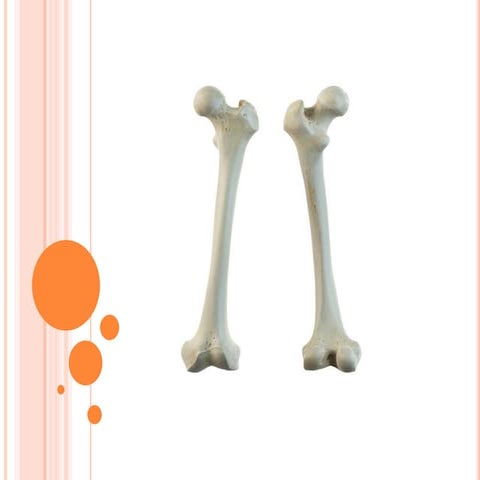 Bone Cancer Diagram Bone Metastasis: Find Your Niche And Fit In: