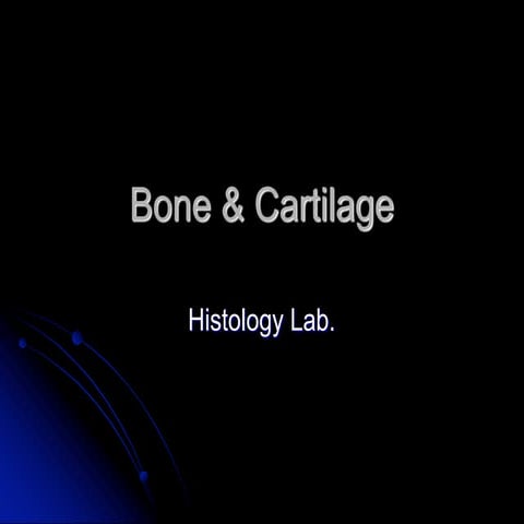 Bone cartilage lab.pdf histology first year | PDF