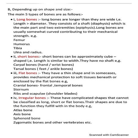 Bone classification | PDF