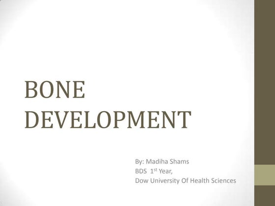 stages of bone formation | PPT | Bone and Joint Conditions | Diseases ...